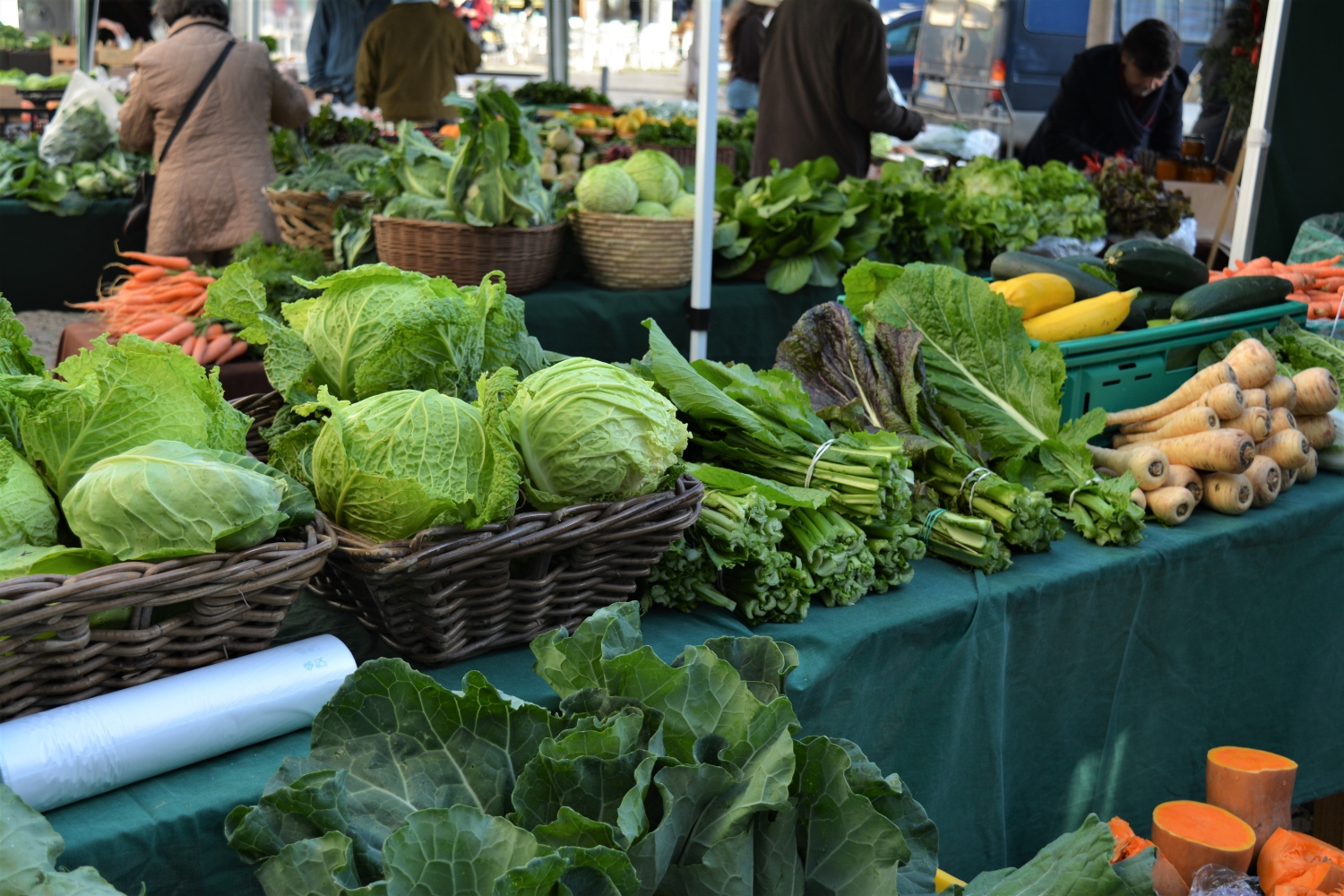 Mercados Agrobio - Agrobio